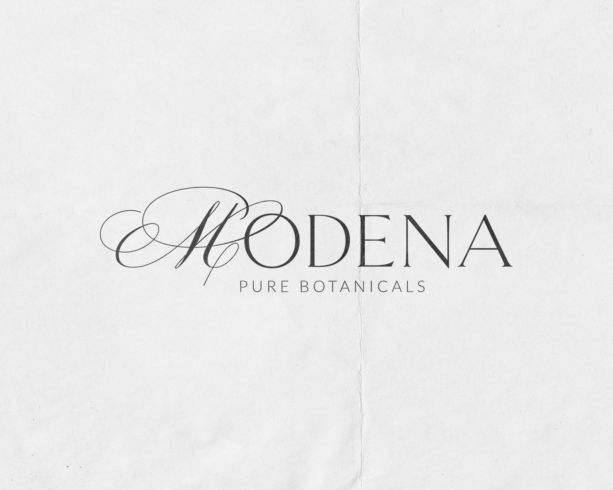 Modern Text Logo Design, Premium Elegant Branding Kit Feminine ...