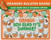 Orange Bulletin Board Kit Summer Bulletin Boards Digital - Etsy