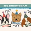 Woodland Birthday Bulletin Board Kit || Birthday Display Bulletin ...