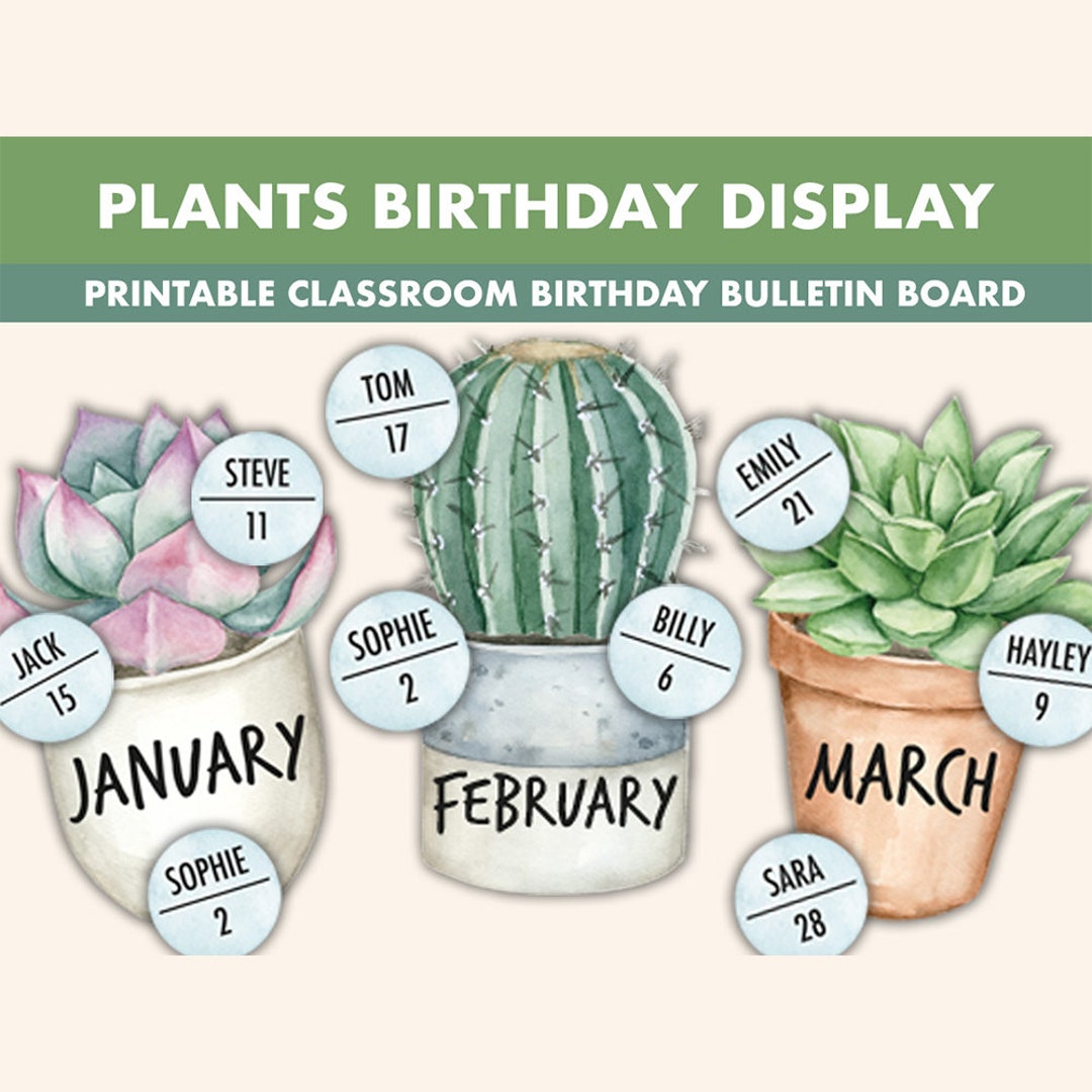 Plants Birthday Bulletin Board Kit || Succulents Birthday Display ...