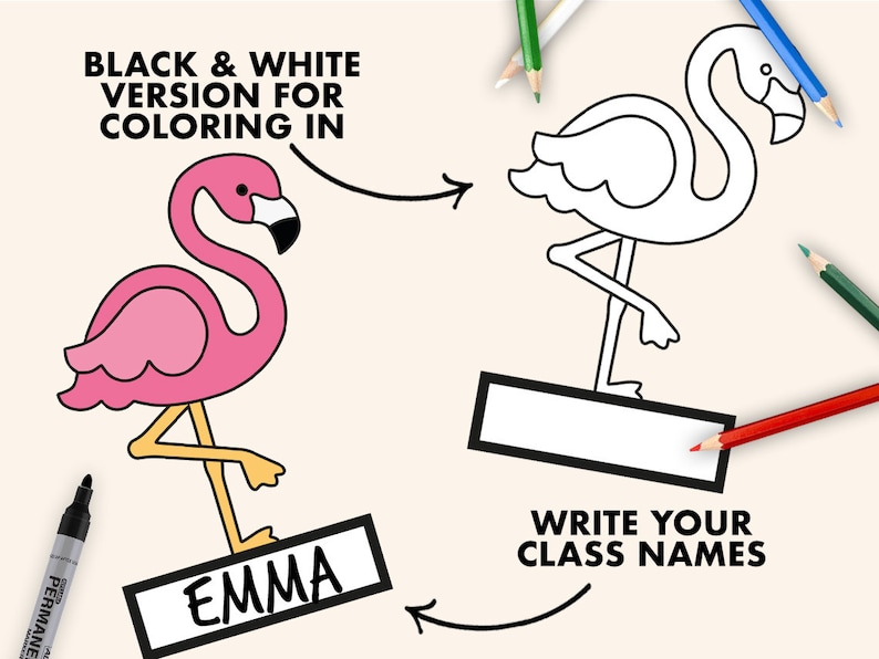 Back to School Bulletin Board Kit Flamingo Bulletin Boards - Etsy