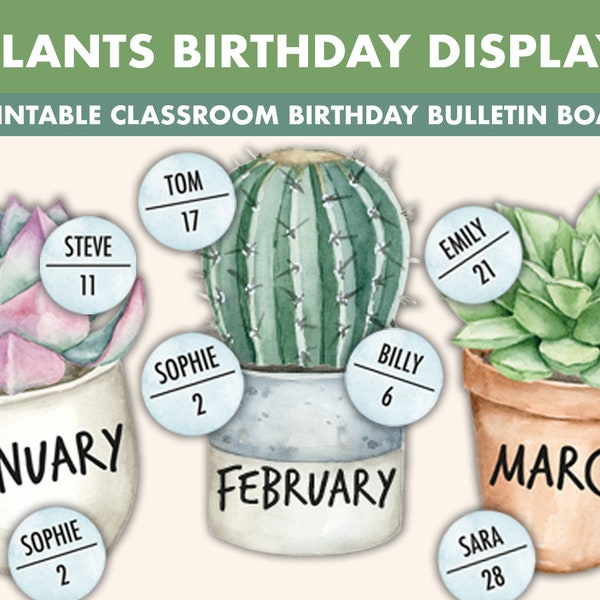 Classroom Cactus - Etsy