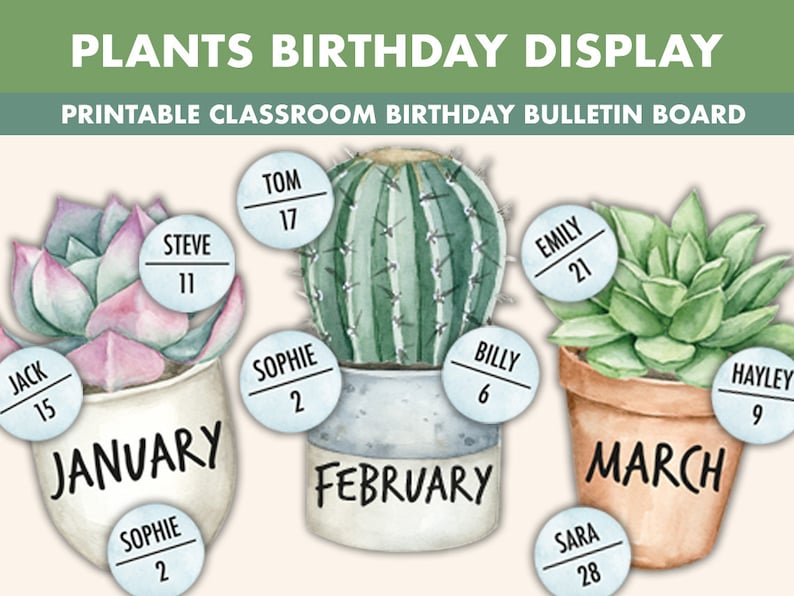 Plants Birthday Bulletin Board Kit Succulents Birthday - Etsy UK