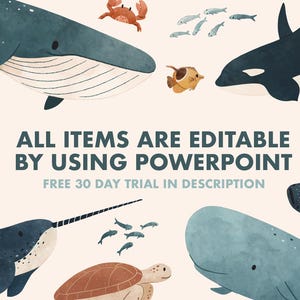 Ocean Classroom Decor Bundle || Editable Classroom Printable Display ...