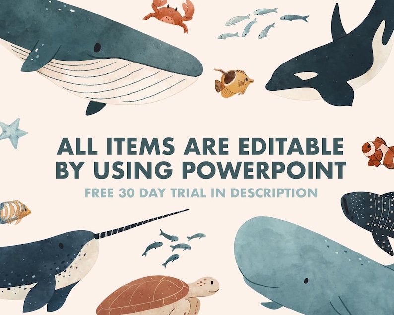 Ocean Classroom Decor Bundle || Editable Classroom Printable Display ...