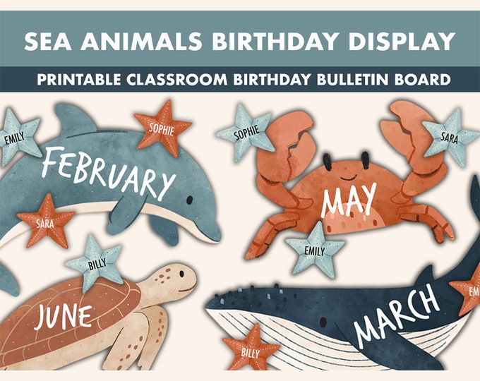 Classroom Birthday Display Classroom Birthday Board Classroom Birthday ...