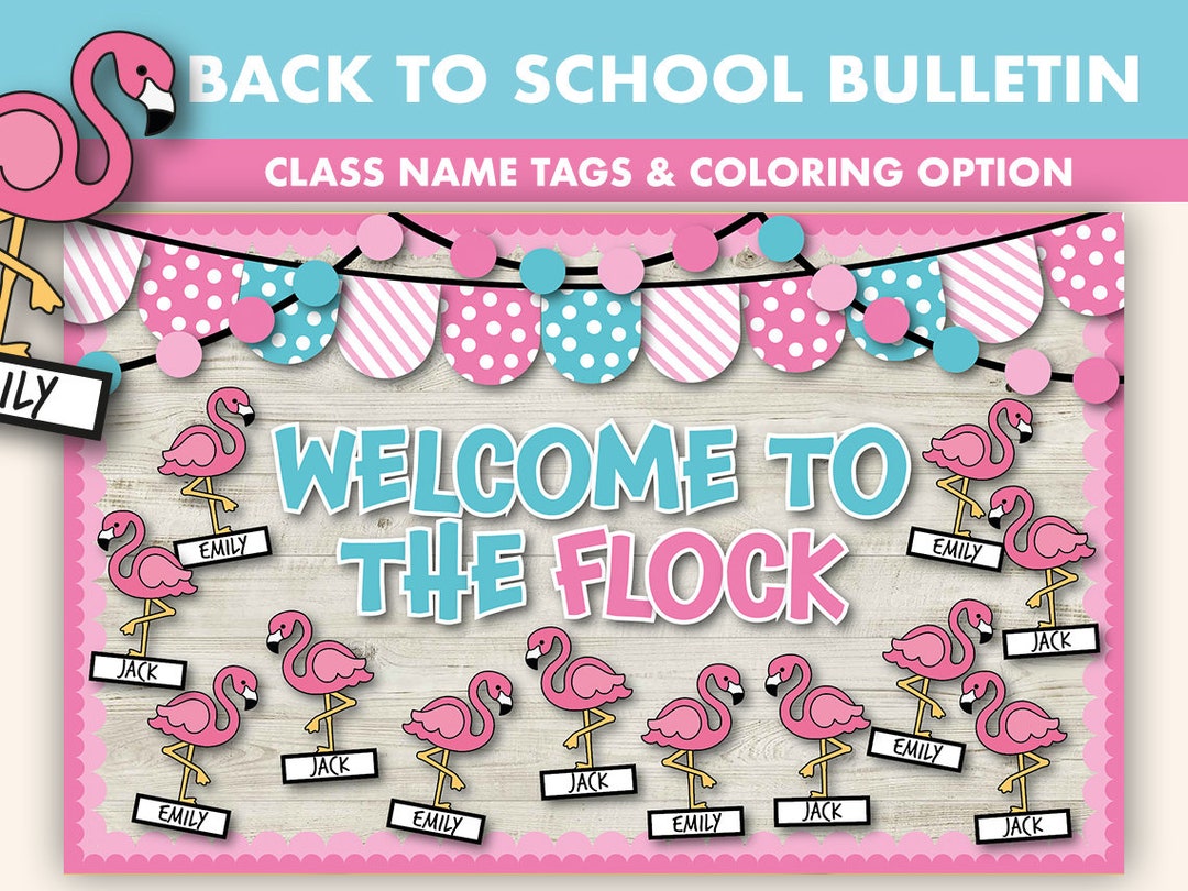 Back to School Bulletin Board Kit Flamingo Bulletin Boards September ...