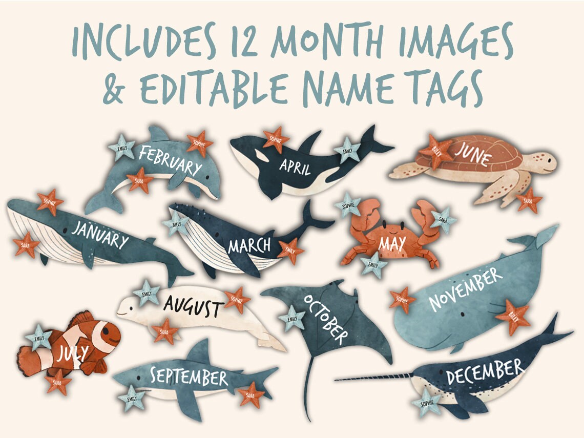 Sea Animal Birthday Bulletin Board Kit Under the Sea - Etsy Australia