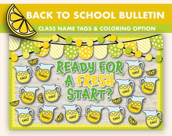 Back to School Bulletin Board Kit Flamingo Bulletin Boards September ...