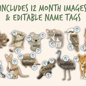 Australian Animals Birthday Bulletin Board Kit || Australian Birthday ...