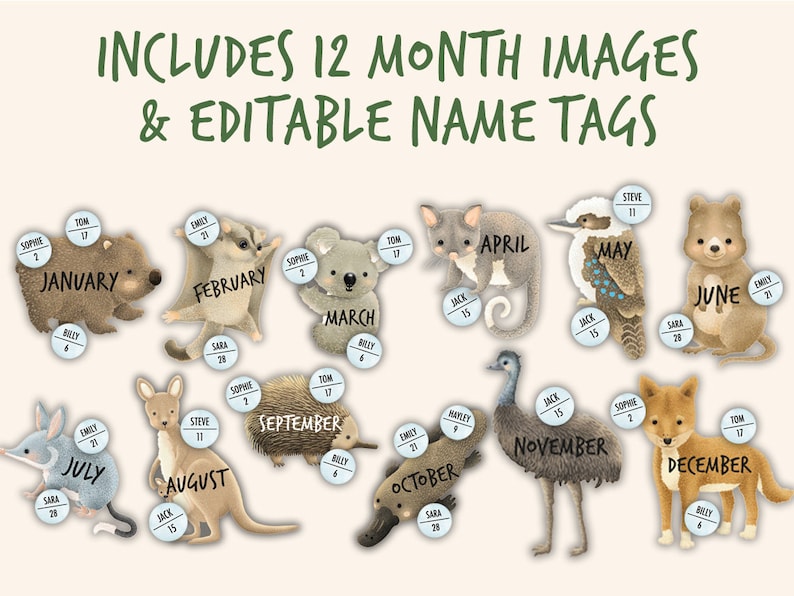 Australian Animals Birthday Bulletin Board Kit Australian - Etsy