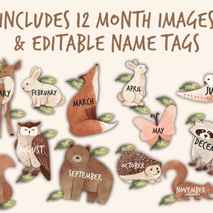 Woodland Birthday Bulletin Board Kit || Birthday Display Bulletin ...