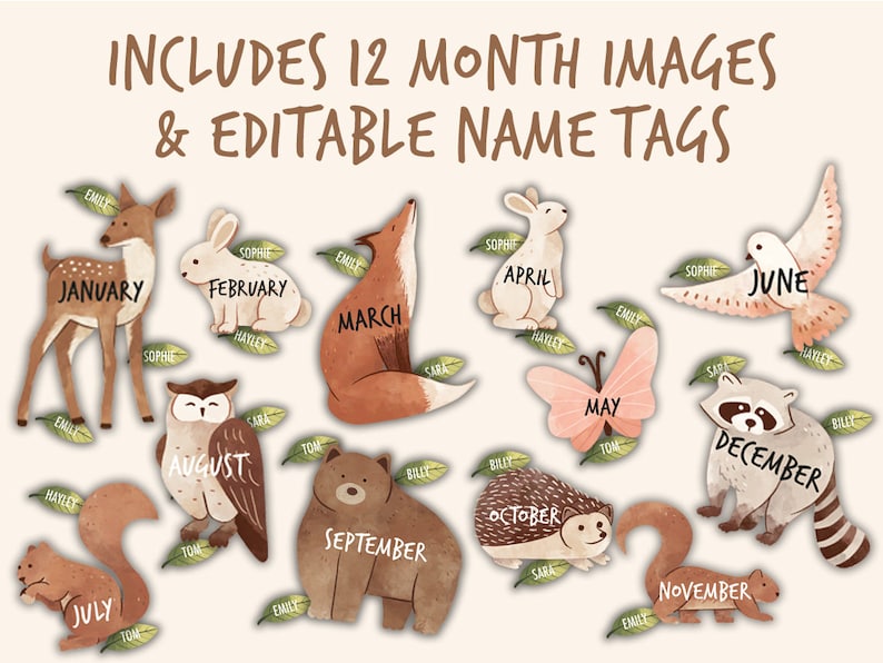 Woodland Birthday Bulletin Board Kit || Birthday Display Bulletin ...