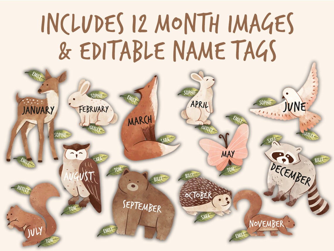 Woodland Birthday Bulletin Board Kit || Birthday Display Bulletin ...