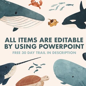 Ocean Classroom Decor Bundle Editable Classroom Printable Display ...