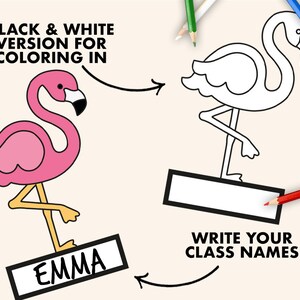 Flamingo Bulletin Board Kit || Summer Bulletin Boards Digital || May ...