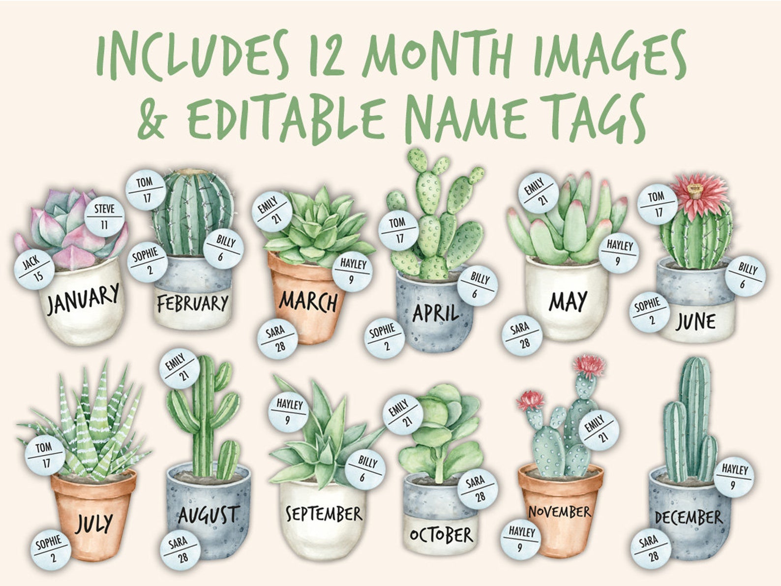 Plants Birthday Bulletin Board Kit || Succulents Birthday Display ...