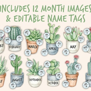 Plants Birthday Bulletin Board Kit || Succulents Birthday Display ...