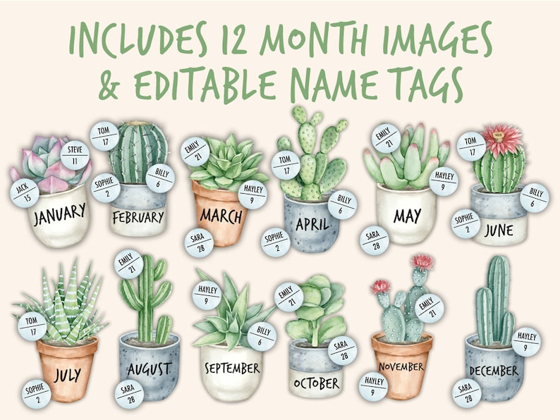 Plants Birthday Bulletin Board Kit Succulents Birthday - Etsy