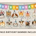 Dog Birthday Bulletin Board Kit Dog Birthday Display - Etsy