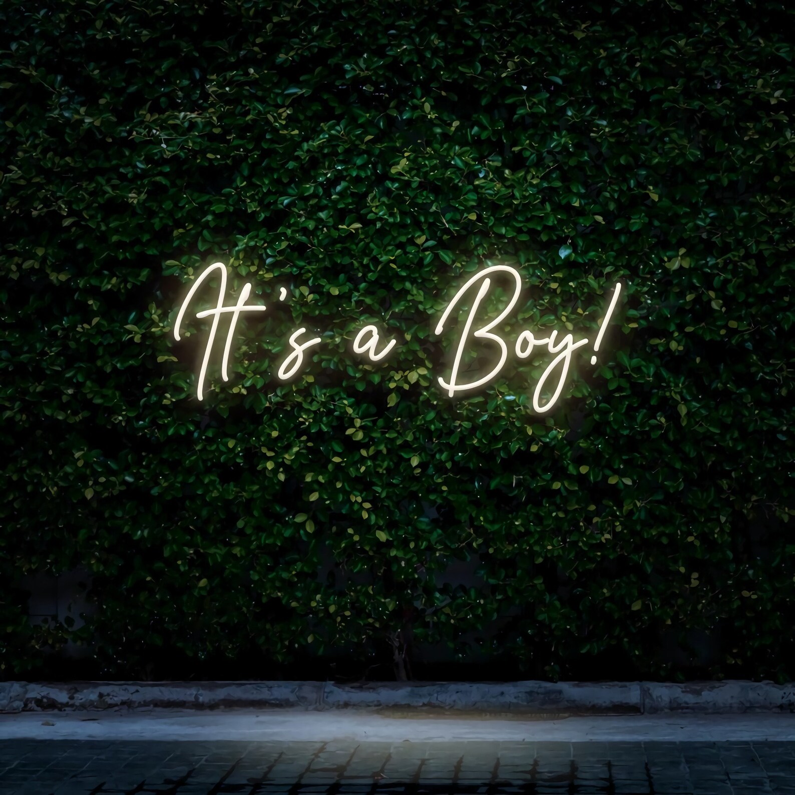 Neon Sign It's a Boy Led Light Custom First Birthday - Etsy