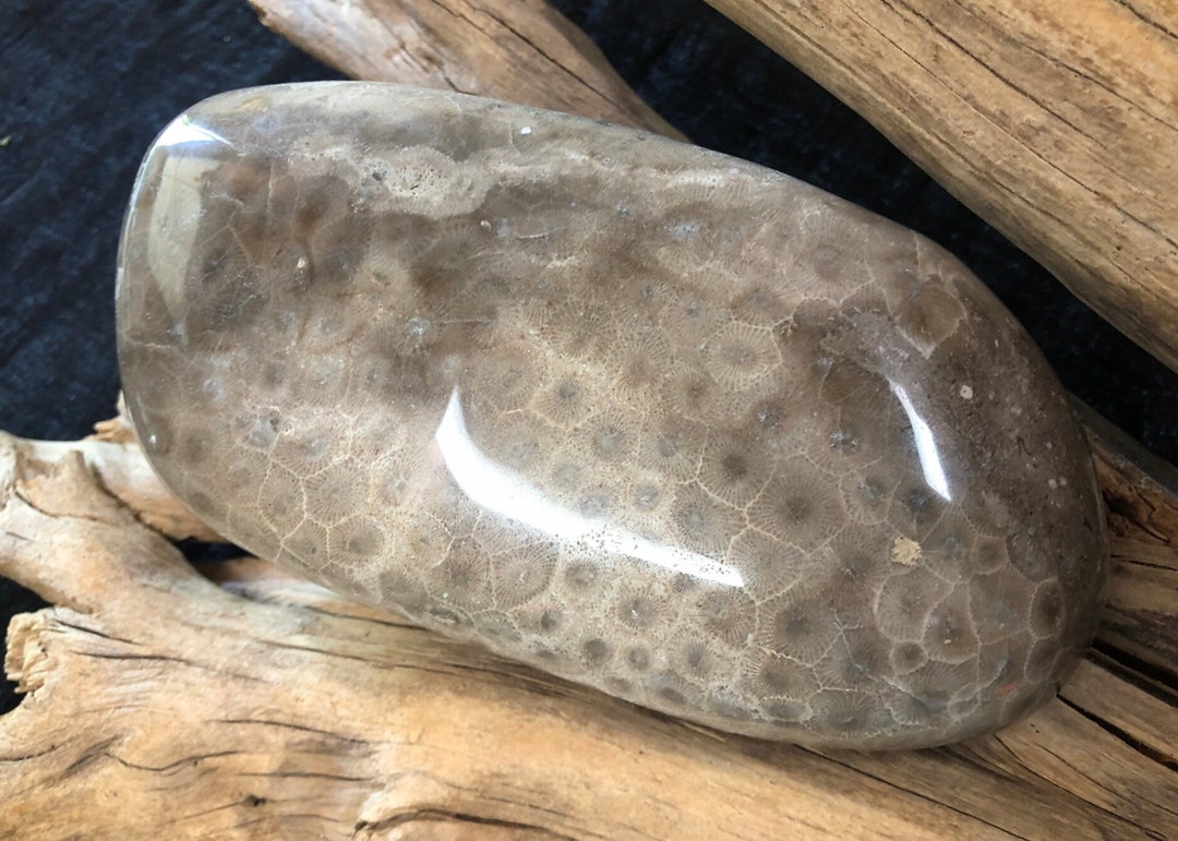 Giant 2lb 7.8 Ounce Polished Petoskey Stone From Lake Michigan Unique ...