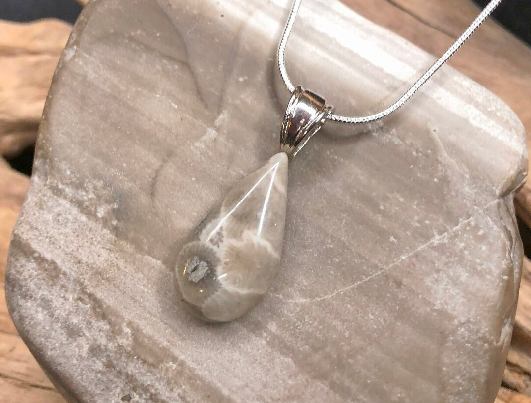 Handcrafted Colorful Petite Petoskey Stone Teardrop Necklace, Lake ...