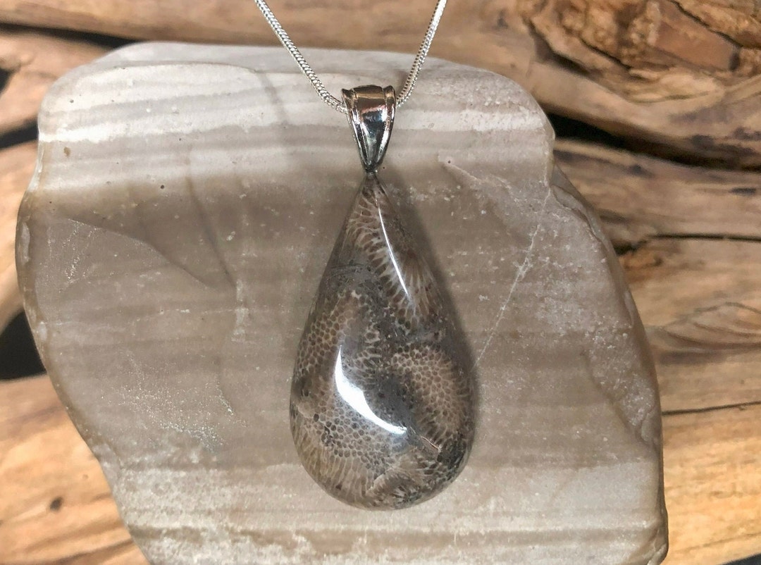 Rare Cladopora Fossil Teardrop Necklace, Unique Handmade Gift From Lake ...