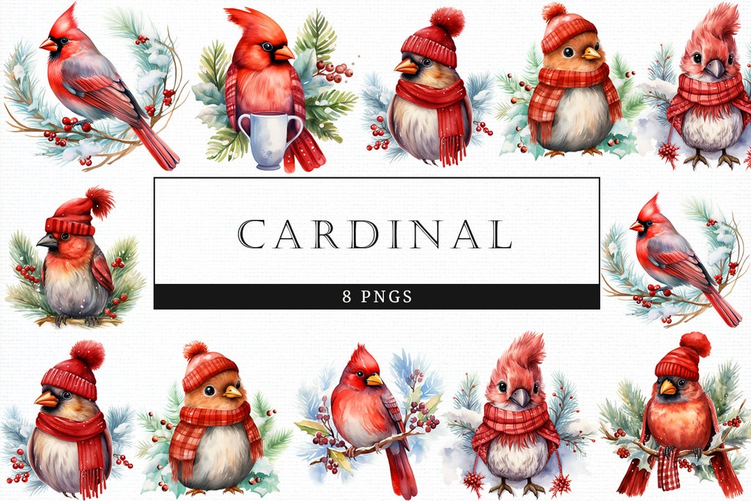 Cardinal Watercolor, Clipart, Scrapbooking, Stickers, PNG, Sublimation ...