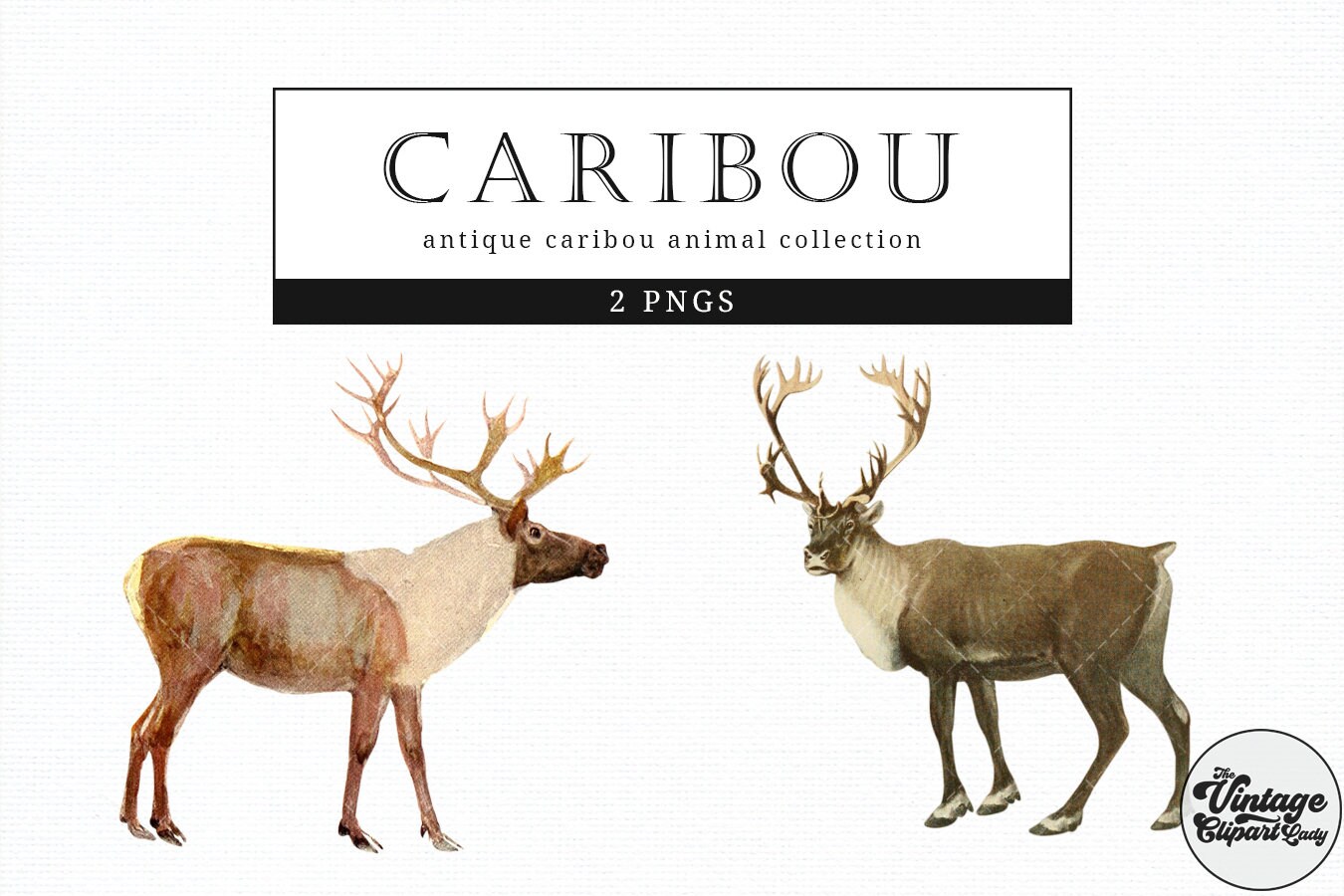 Caribou Clipart