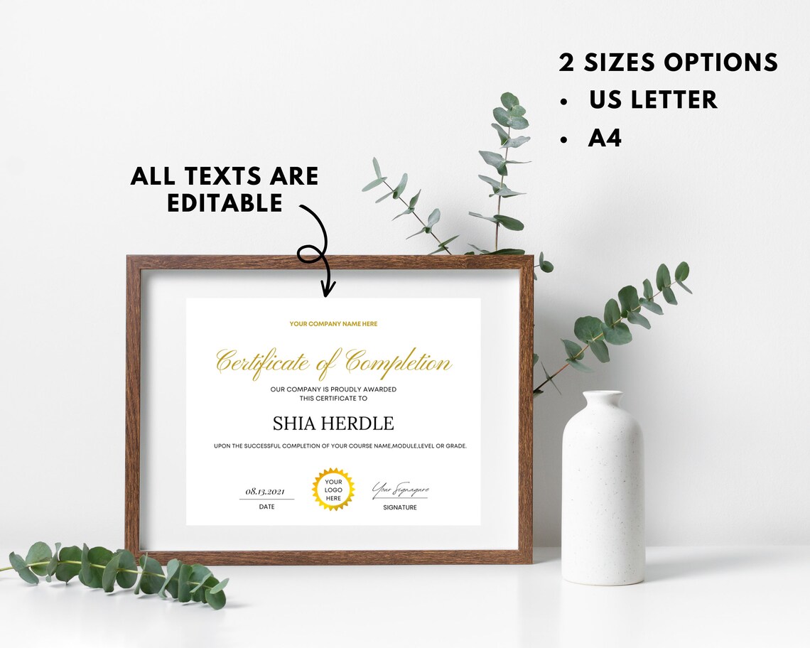 Editable Printable Certificate of Completion Template, Training, Award ...