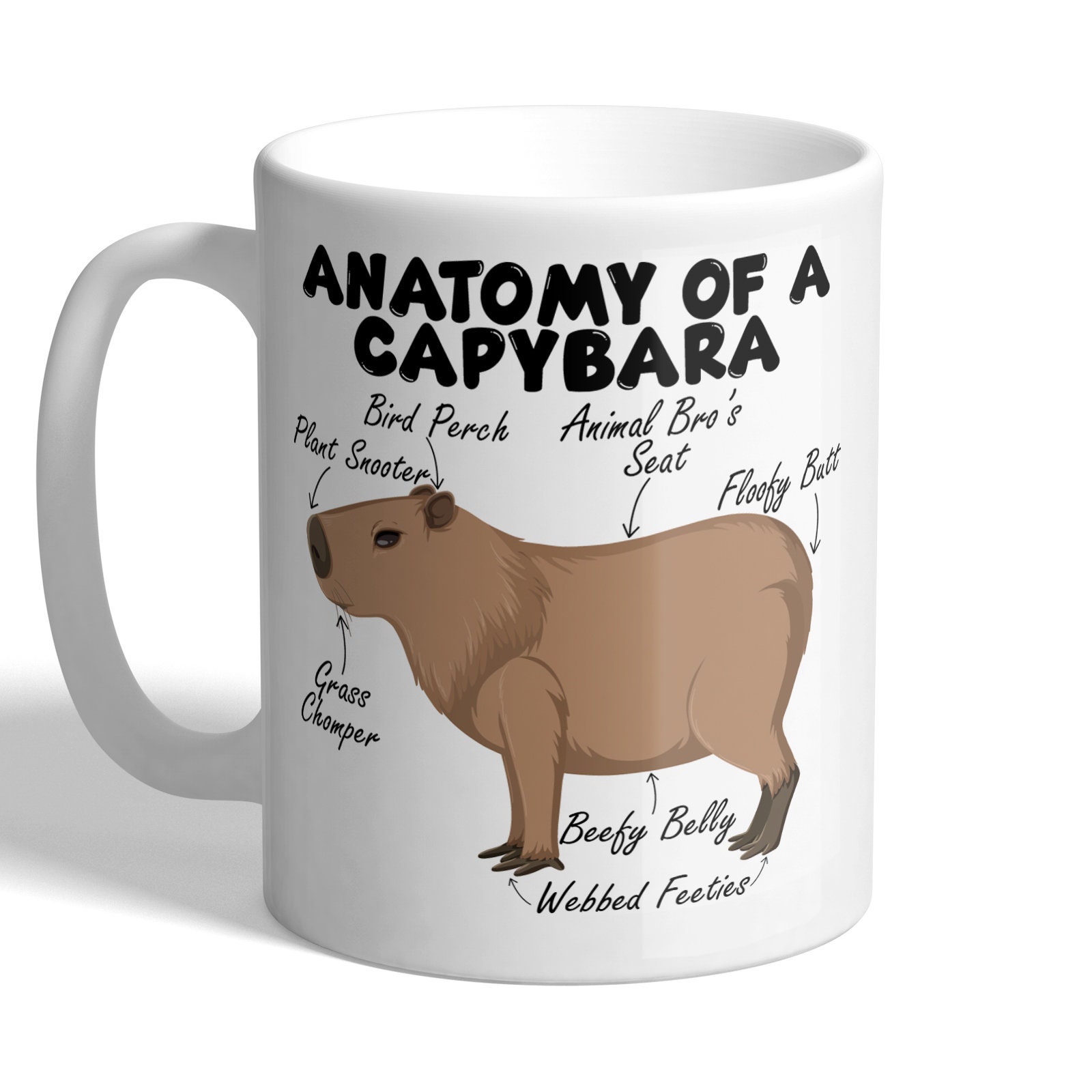 Anatomy of A Capybara Animal Lover Mug - Etsy UK