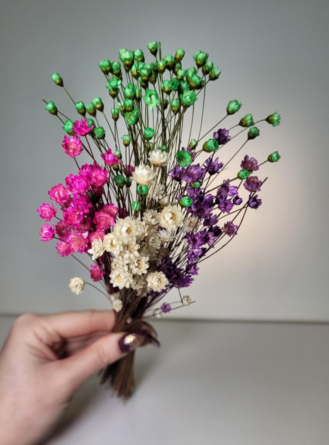 Glixia Dried Flower Bouquet (brazilian Star Flower) - Etsy UK