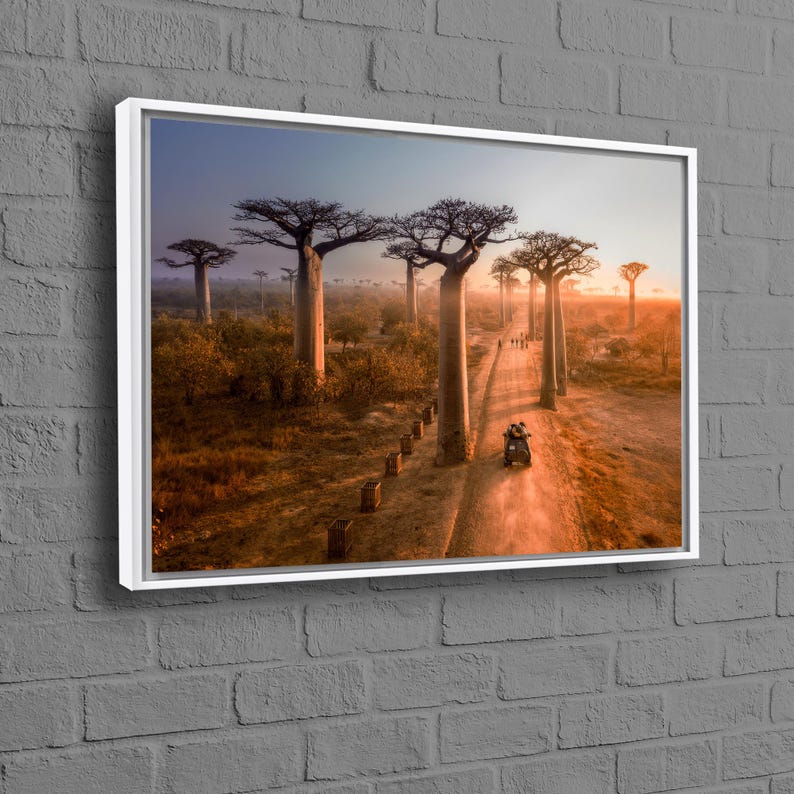 Landscape Canvas Poster, Madagascar Canvas Art, Home Decoration, Baobab ...