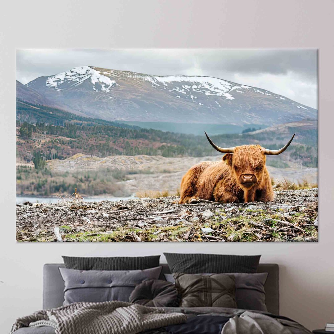 Highland Cow Wall Hangings, Animal Art, Farmhouse Canvas Decor, Animal ...
