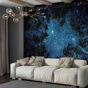 Beautiful Starry Sky Wall Art, Night Sky Mural, Forest View Wallpaper ...