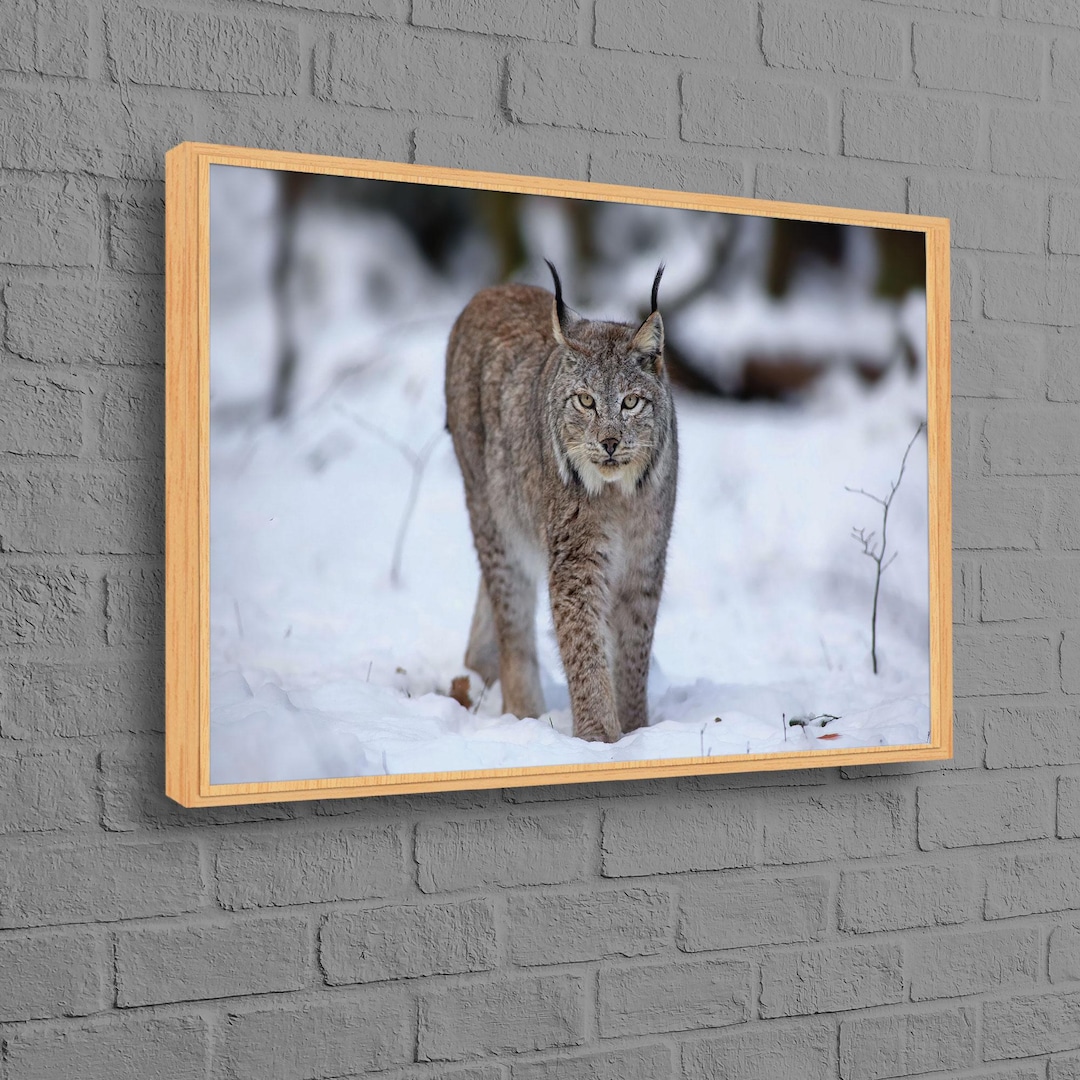 Wolf Cat Wall Decor, Cat Wall Decor, Lynx Wolf Cat Poster, Animal Wall ...