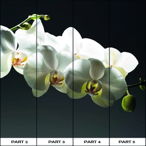 Orchid Wall Poster, Flower Wall Mural, Flower Lover Gift Mural, Orchid ...