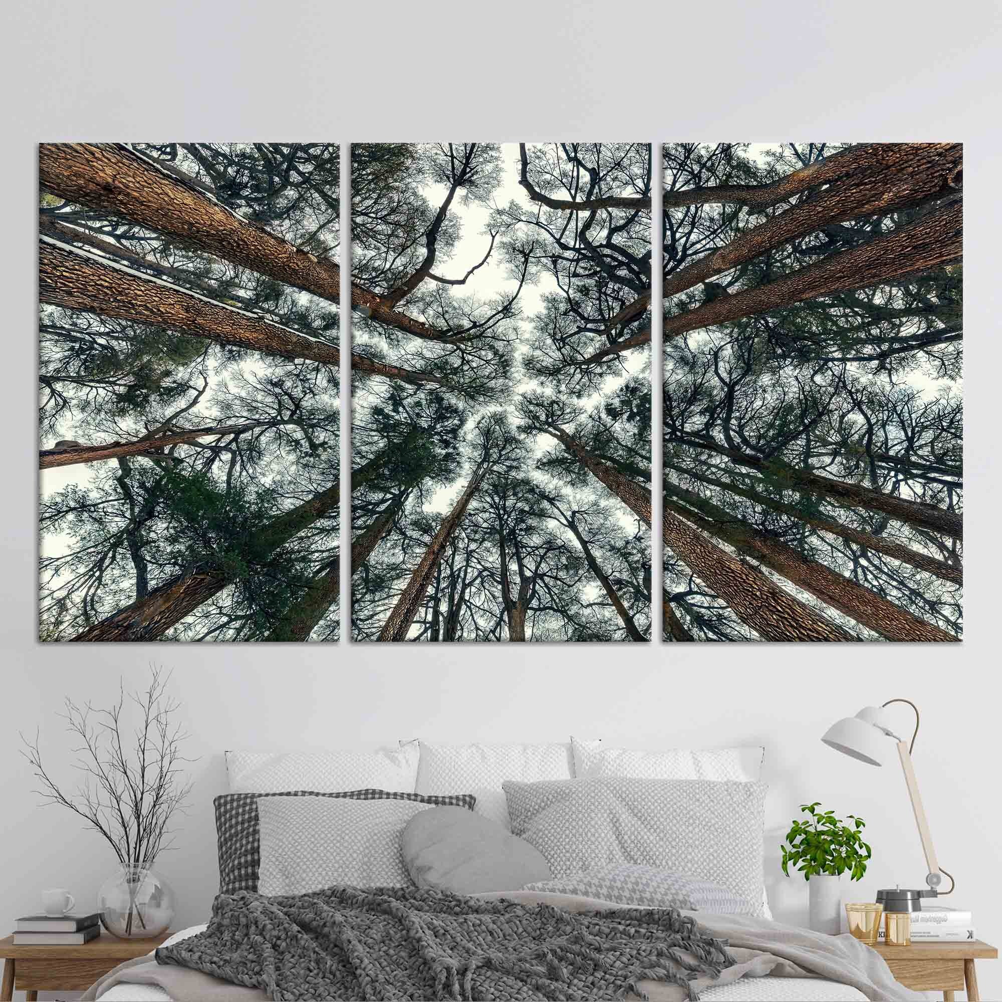 Forest Canopy Perspective Canvas Wall Art – Tall Pine Tree Nature Print ...
