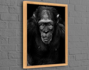 Old Monkey Poster - Etsy