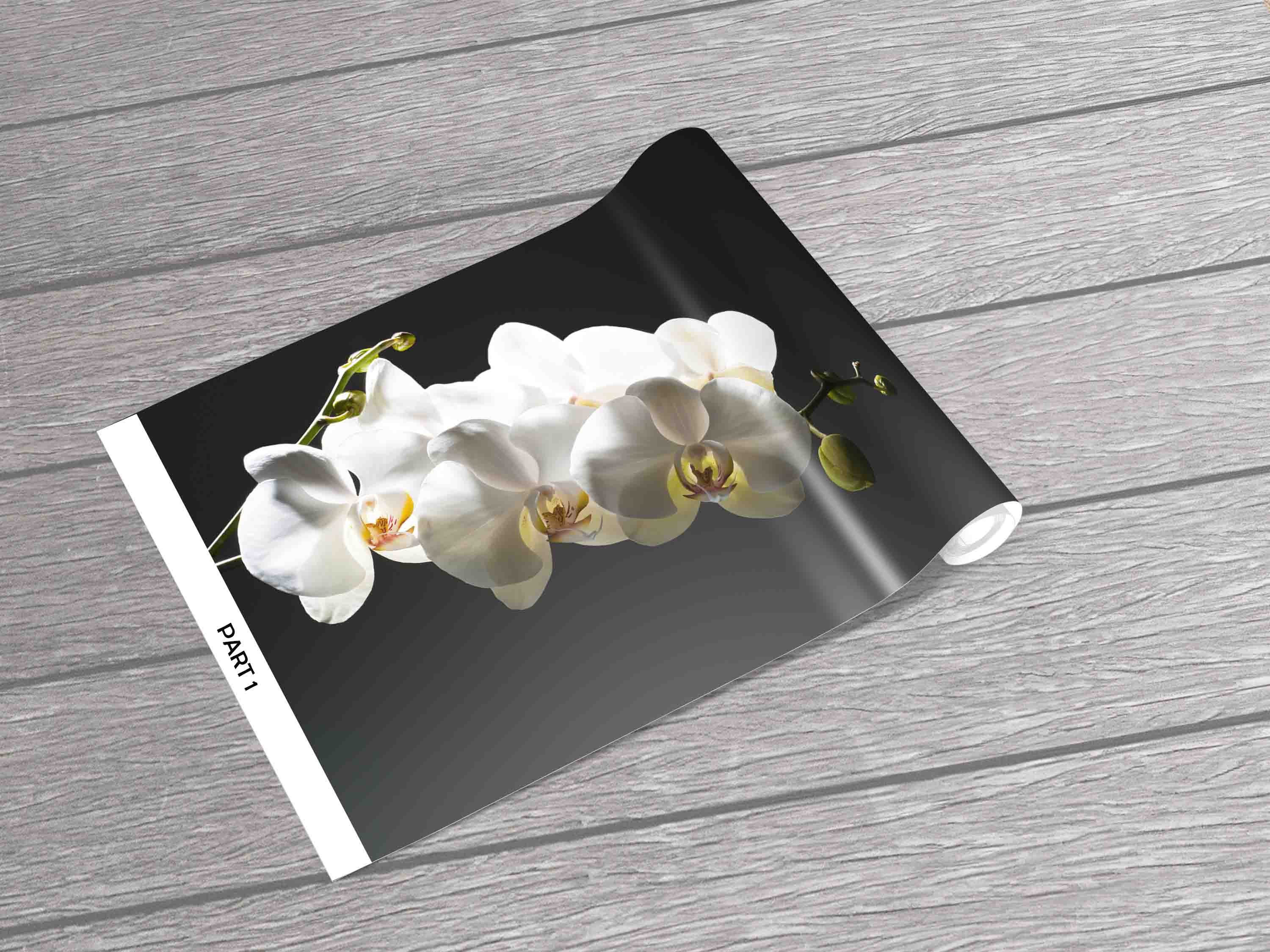 Orchid Wall Poster, Flower Wall Mural, Flower Lover Gift Mural, Orchid ...