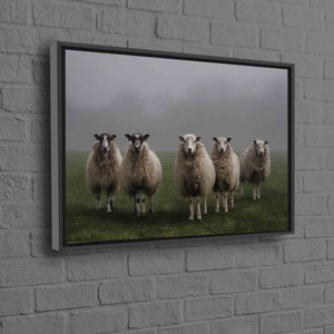 Canvas Wall Art, Sheep, Sheep Wall Decor, Canvas Gift, Farm Canvas Art, Animal Artwork, Canvas ...
