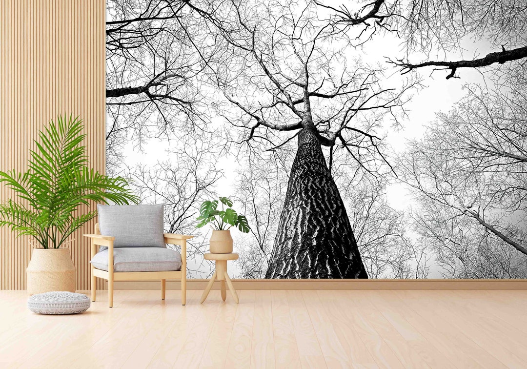Forest View Wall Painting, Tree Paper Craft, Vinyl Wallpaper, Landscape ...