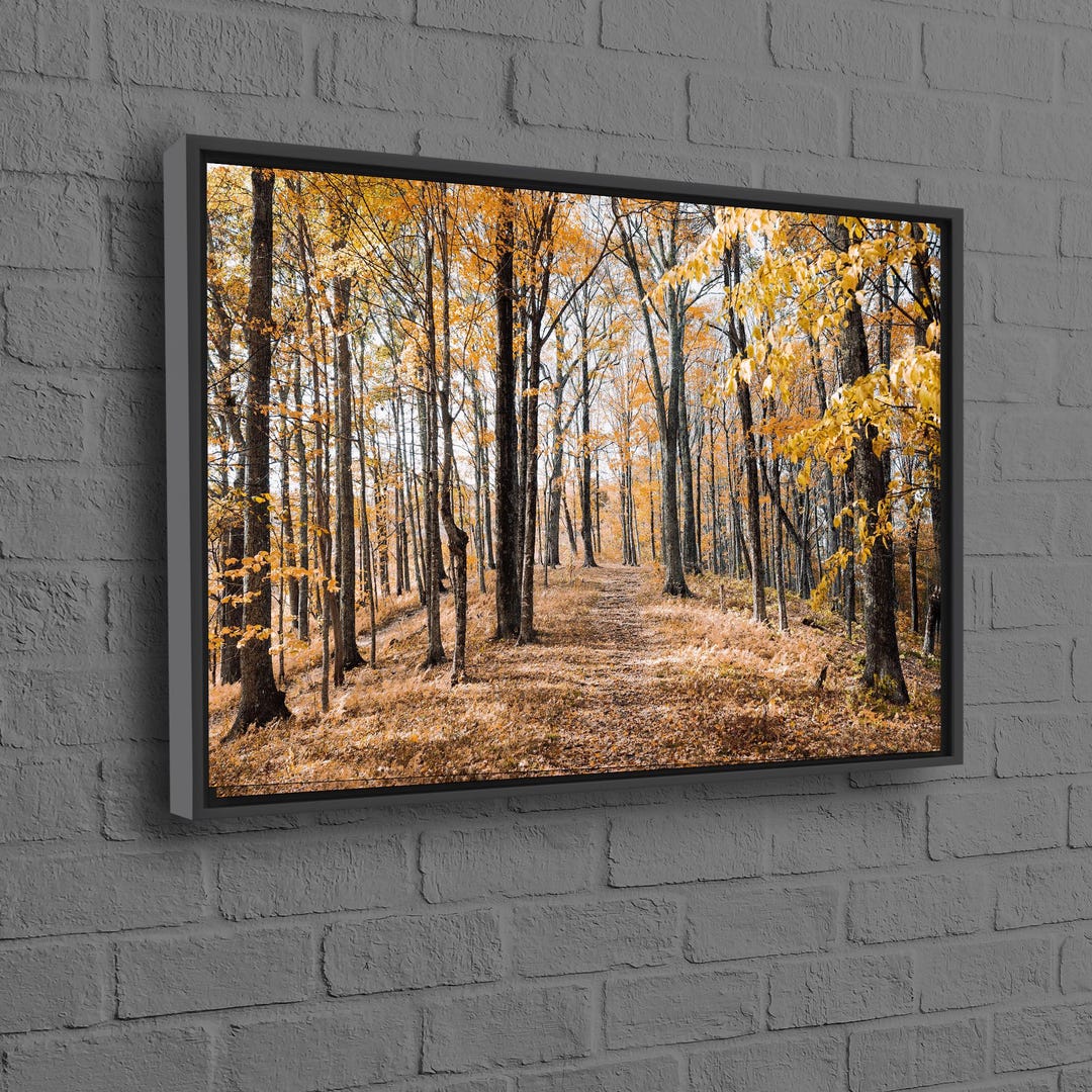 Forest View Canvas Poster, Landscape Wall Hangings, Autumn Landscape 3D ...