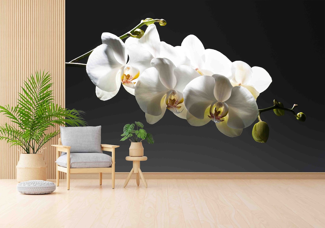 Orchid Wall Poster, Flower Wall Mural, Flower Lover Gift Mural, Orchid ...
