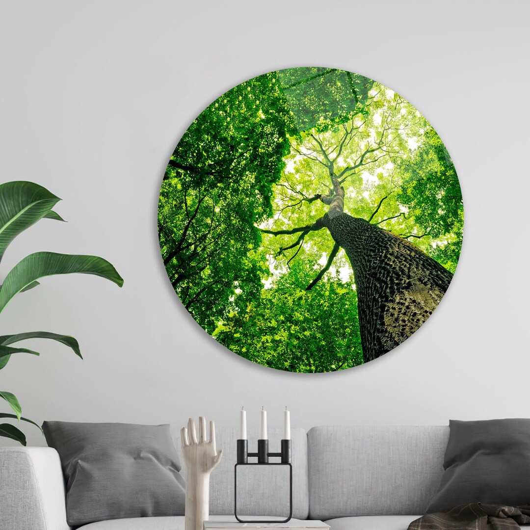 Green Tree Glass Wall Art, Forest Wall Decor, Tree Photography Wall Art ...