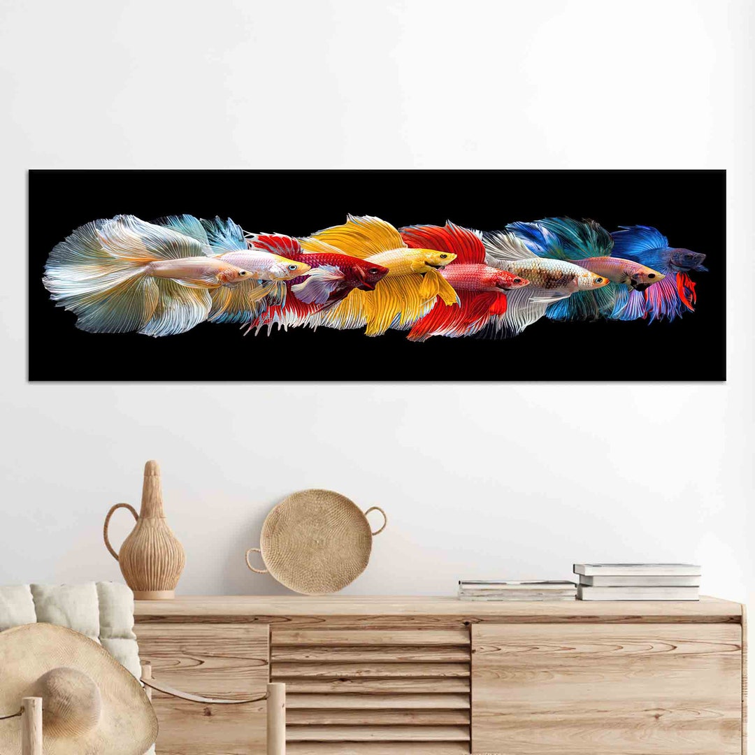 Colorful Betta Fish Wall Art, Vibrant Siamese Fighting Fish on Black ...