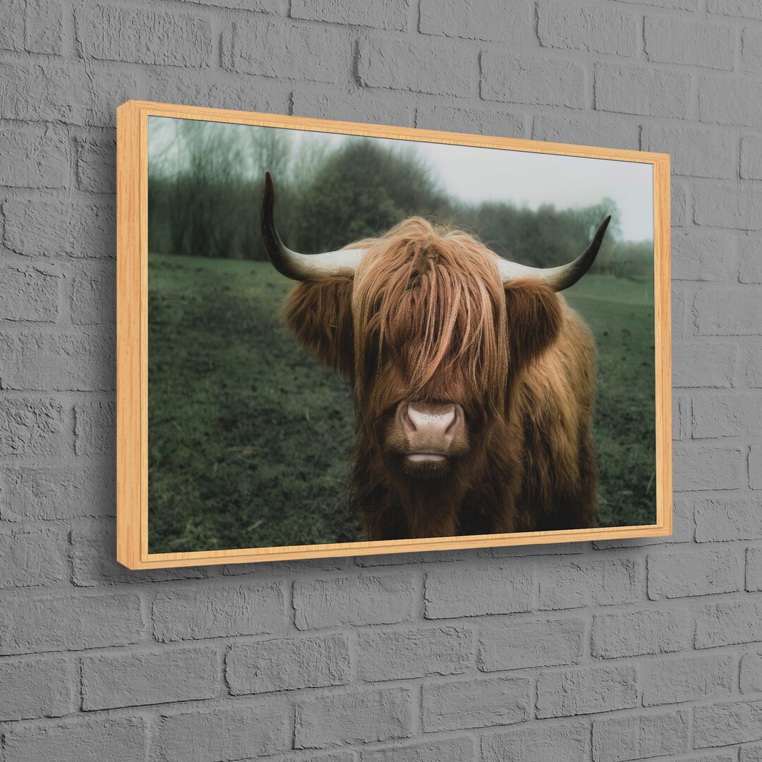 Animal Wall Decor, Printable Wall Art, Scottish Highland Wall Art, Man ...