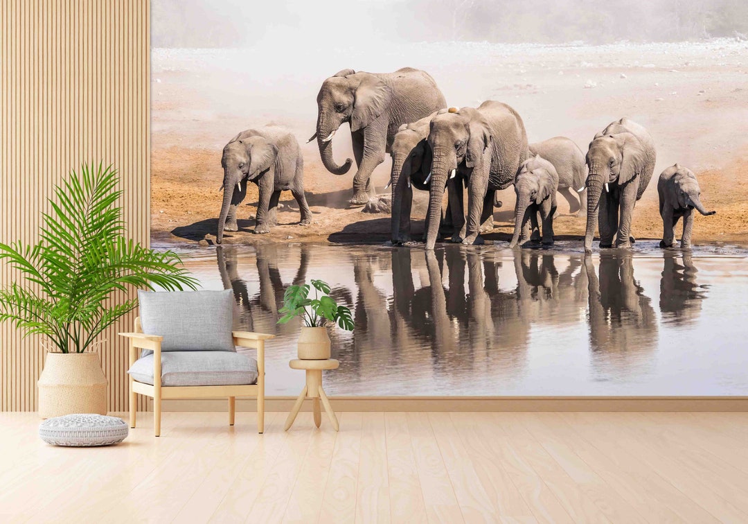 Buy Big African Elephants Wall Paper, Elephant Family Wall Art, Animal ...