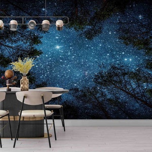 Beautiful Starry Sky Wall Art, Night Sky Mural, Forest View Wallpaper ...